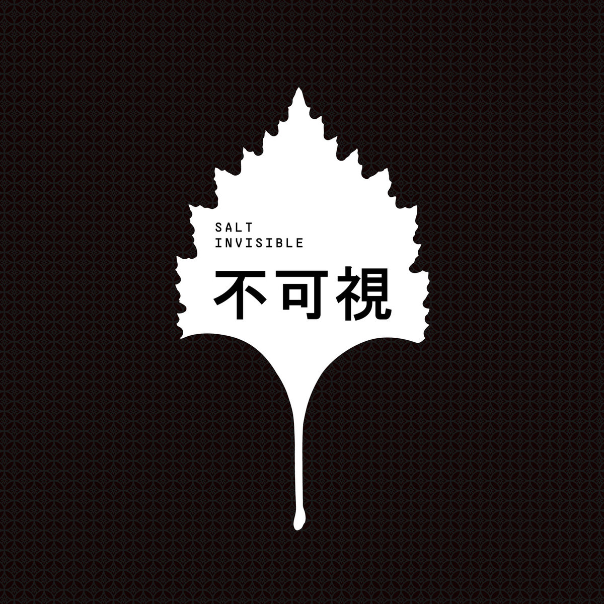 SALT ‘Invisible’ — : STGMT.MGZN